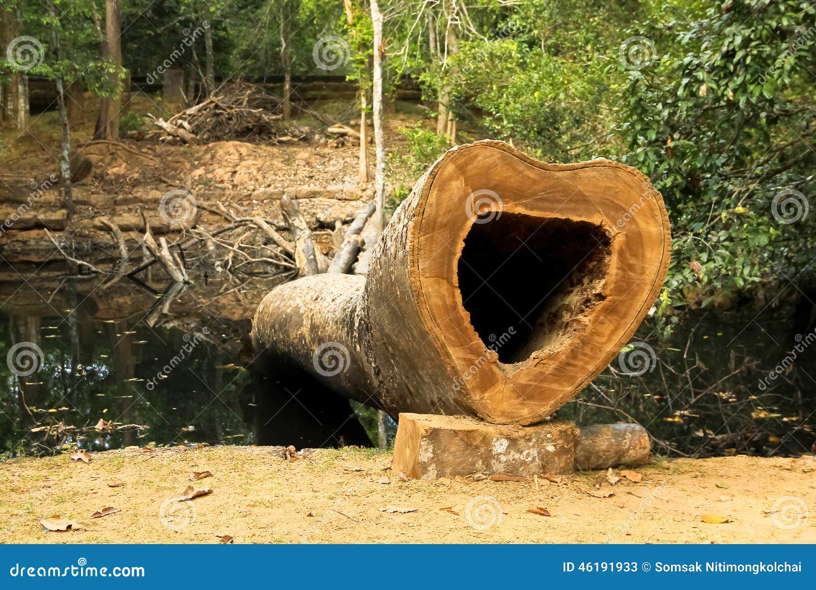 A Tree Was Cut Out Shaped Like a Heart Stock Image - Image of heart ...
