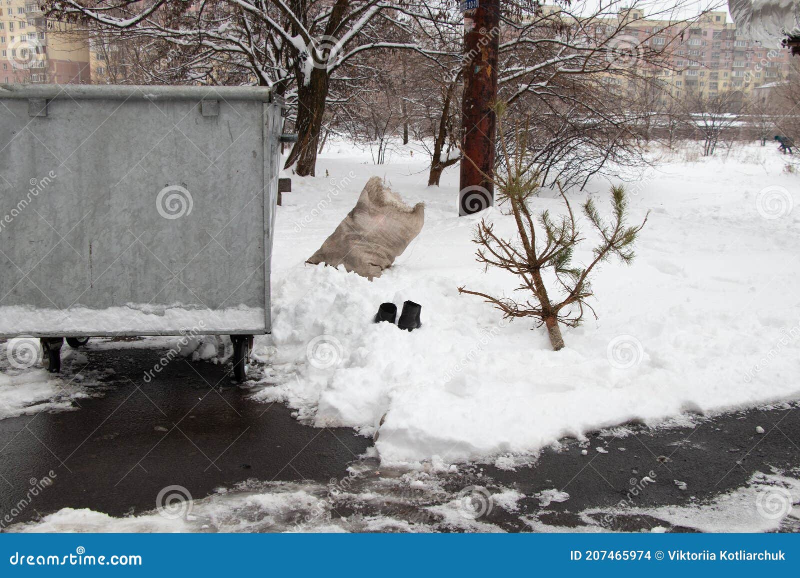 The Tree Was Thrown into the Trash Can in the Courtyards of the ...