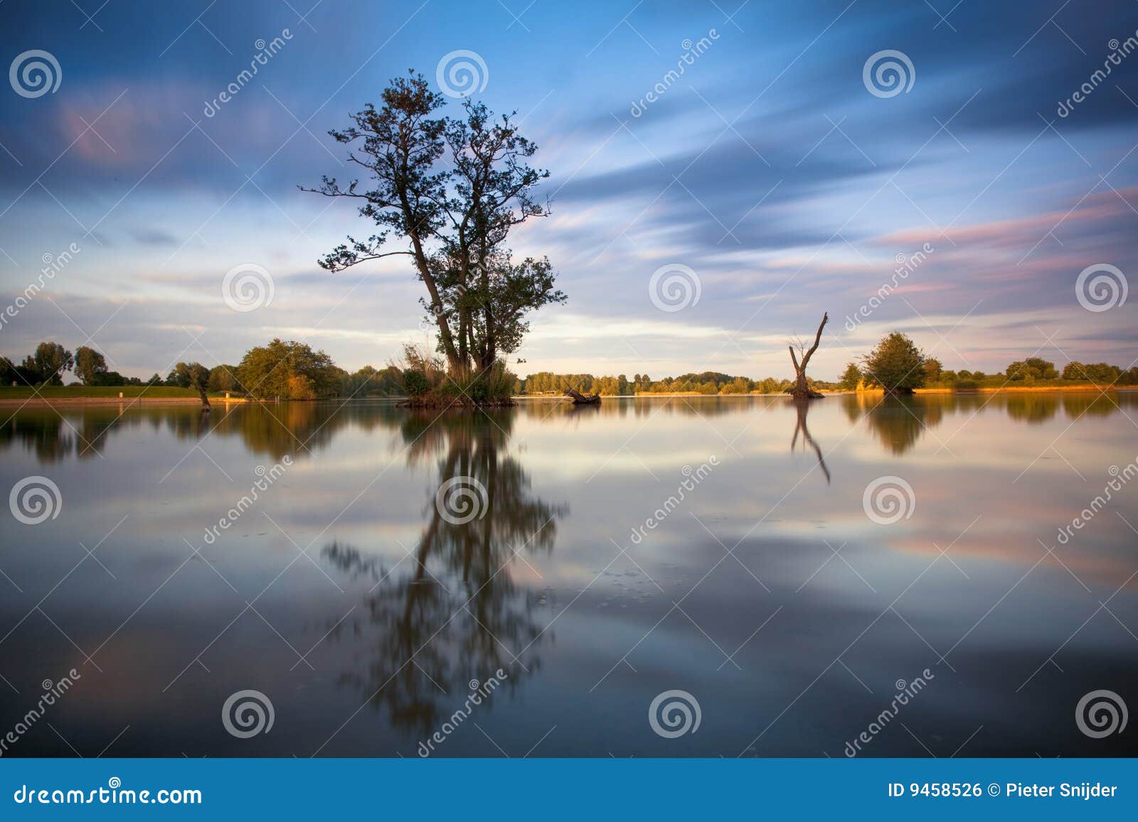 Tree in water stock photo. Image of beauty, outside, colorful - 9458526