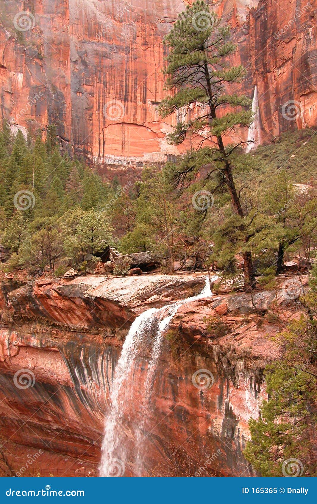Tree Waterfall stock image. Image of national, pools, emerald - 165365