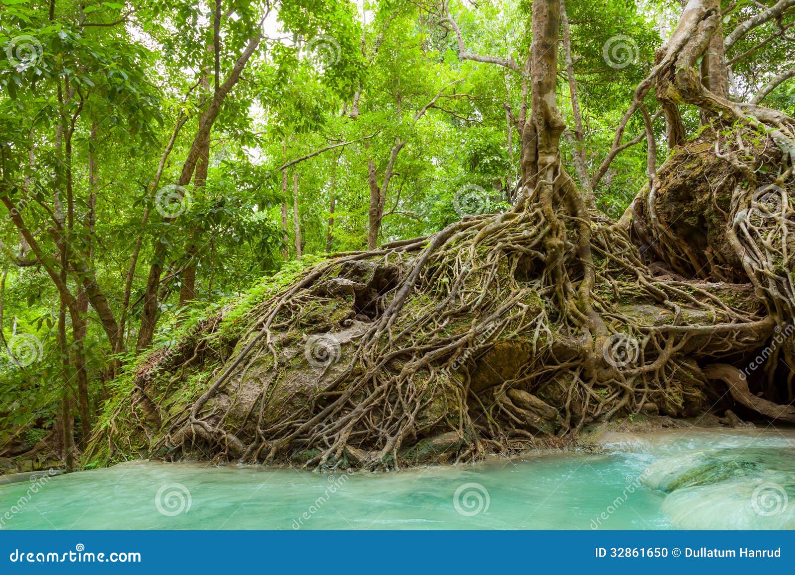 Tree waterfall. stock photo. Image of jaunt, fall, kanchanaburi - 32861650