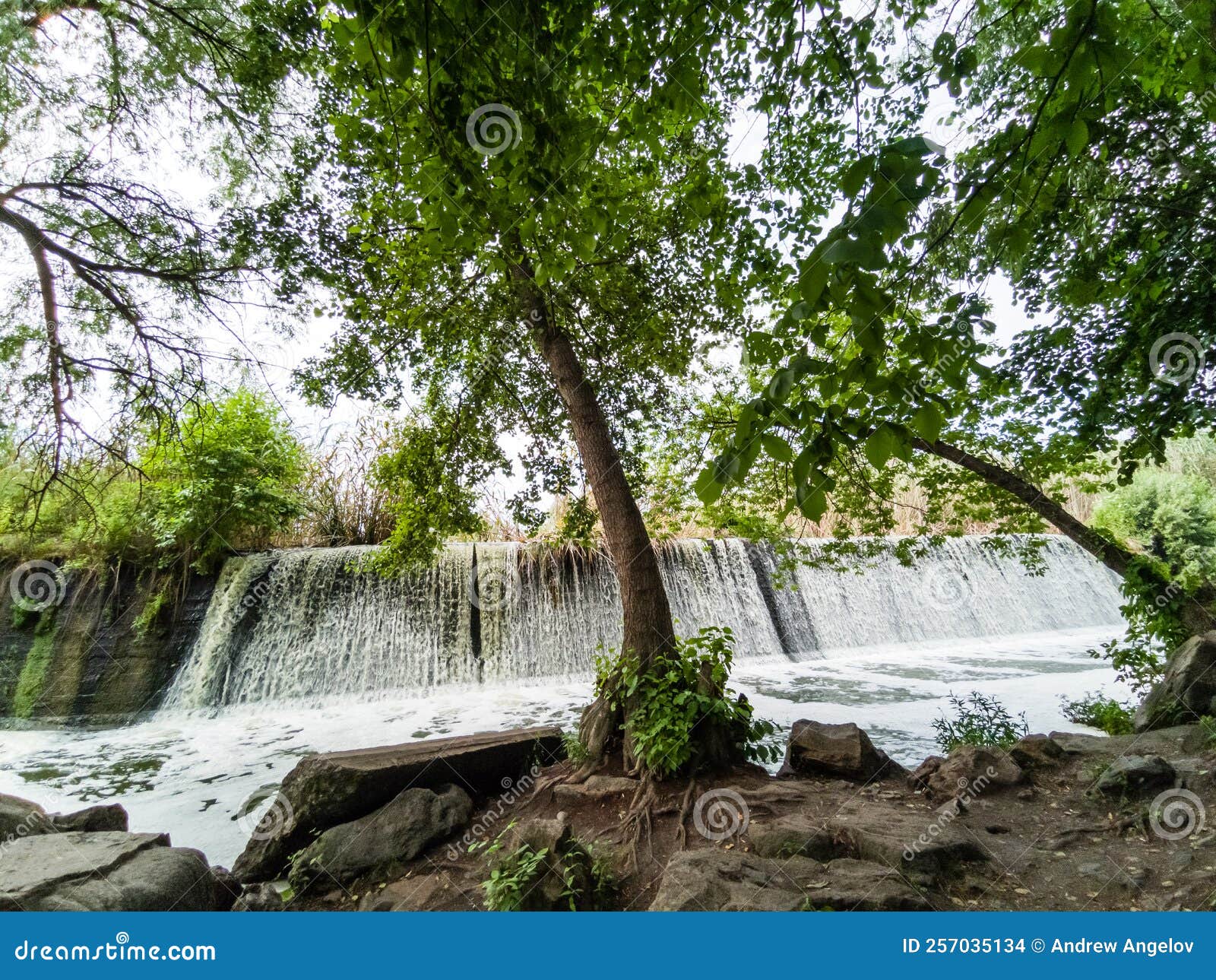 Tree between Waterfalls .Small Waterfall in Park Stock Photo - Image of ...