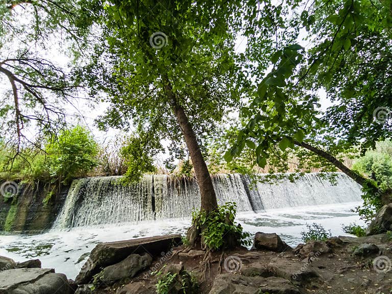 Tree between Waterfalls .Small Waterfall in Park Stock Photo - Image of ...