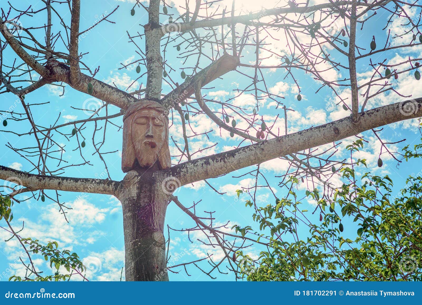 The Tree on Which the Face of Jesus is Carved. Back Light Stock Image ...