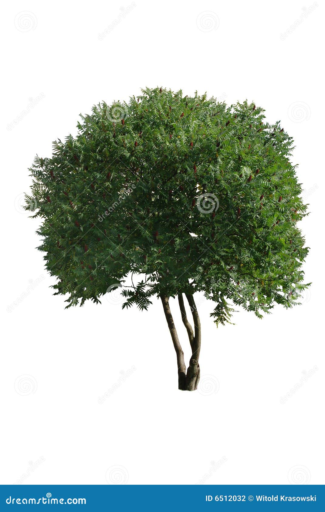 230 Trun Background Stock Photos - Free & Royalty-Free Stock Photos ...