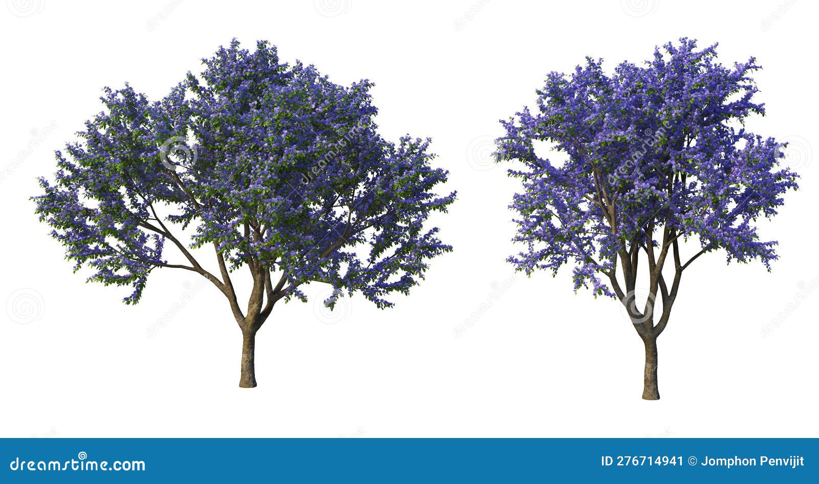 Tree on a white background stock illustration. Illustration of plant ...