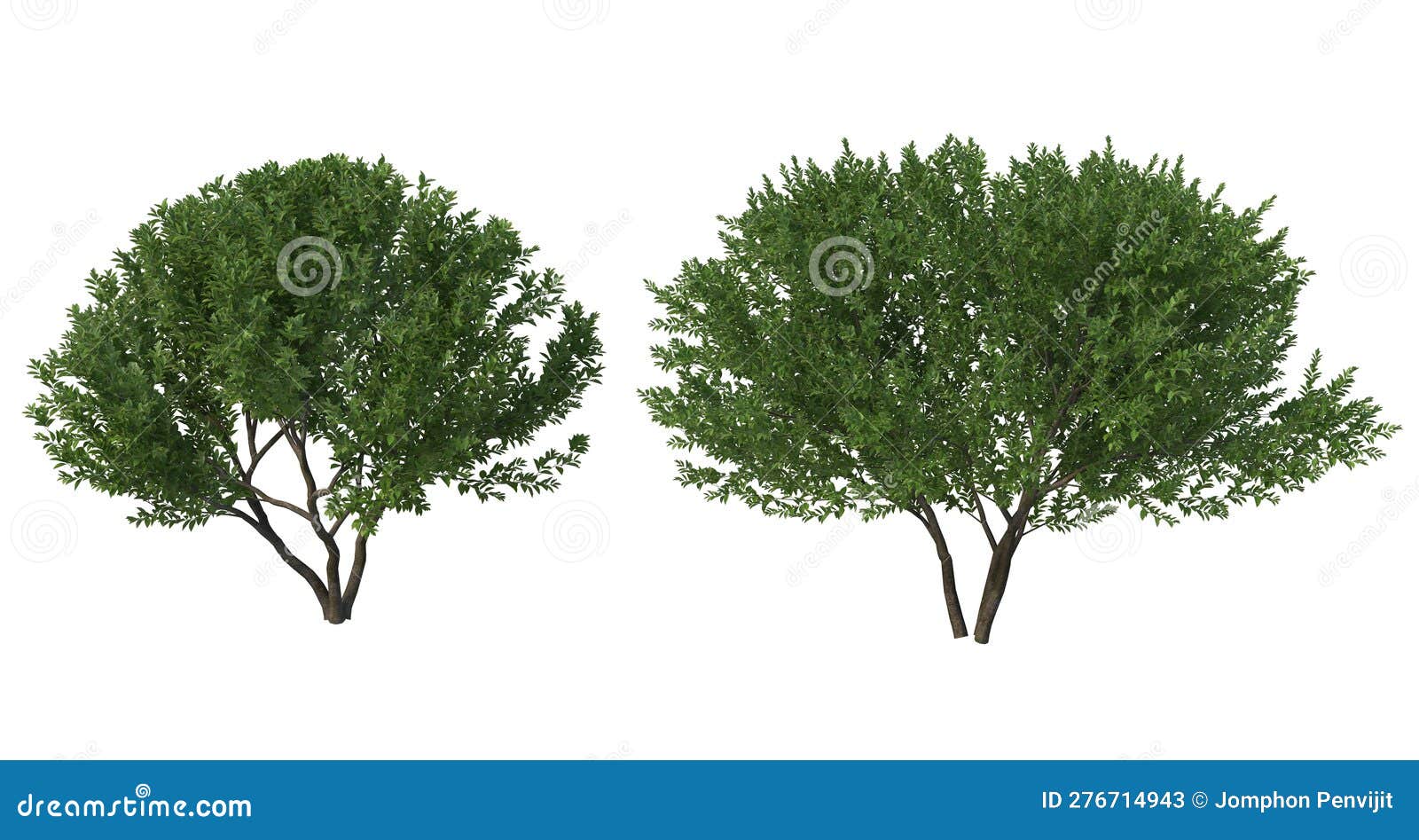 Tree on a white background stock illustration. Illustration of soil ...