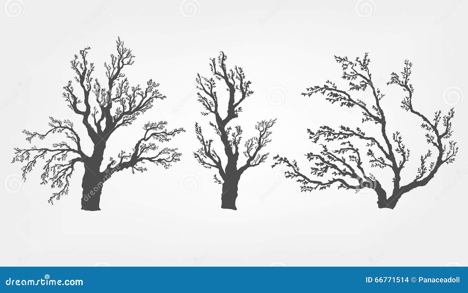 Tree on a White Background with Leaves Stock Illustration ...