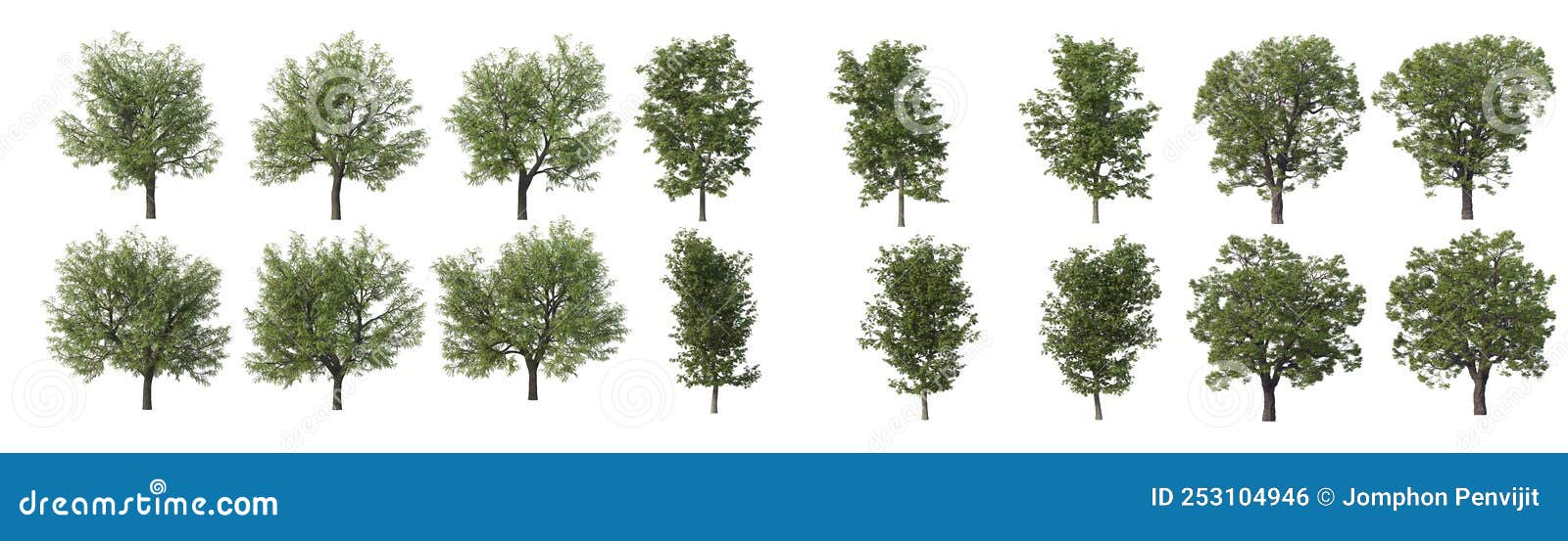 Tree on a white background stock illustration. Illustration of jungle ...