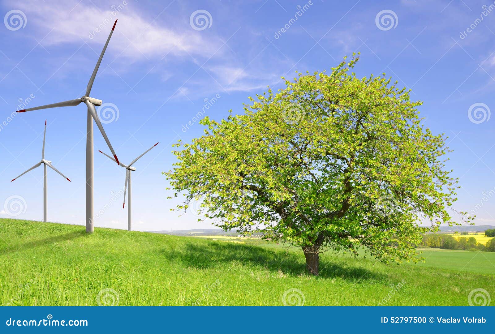 Tree with wind turbines stock photo. Image of environment - 52797500