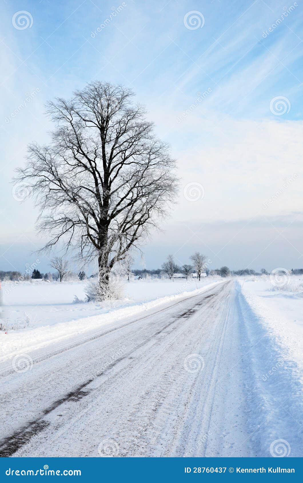 Tree at winter road stock image. Image of rural, outdoors - 28760437