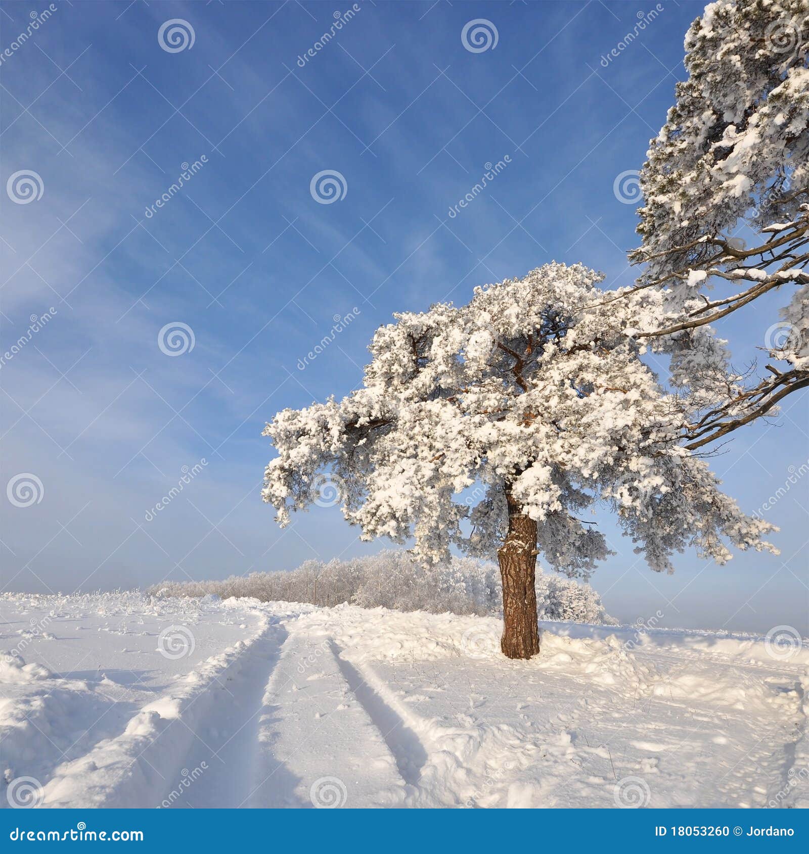 Tree in Winter with Snow Covered Fields Stock Photo - Image of snowy ...