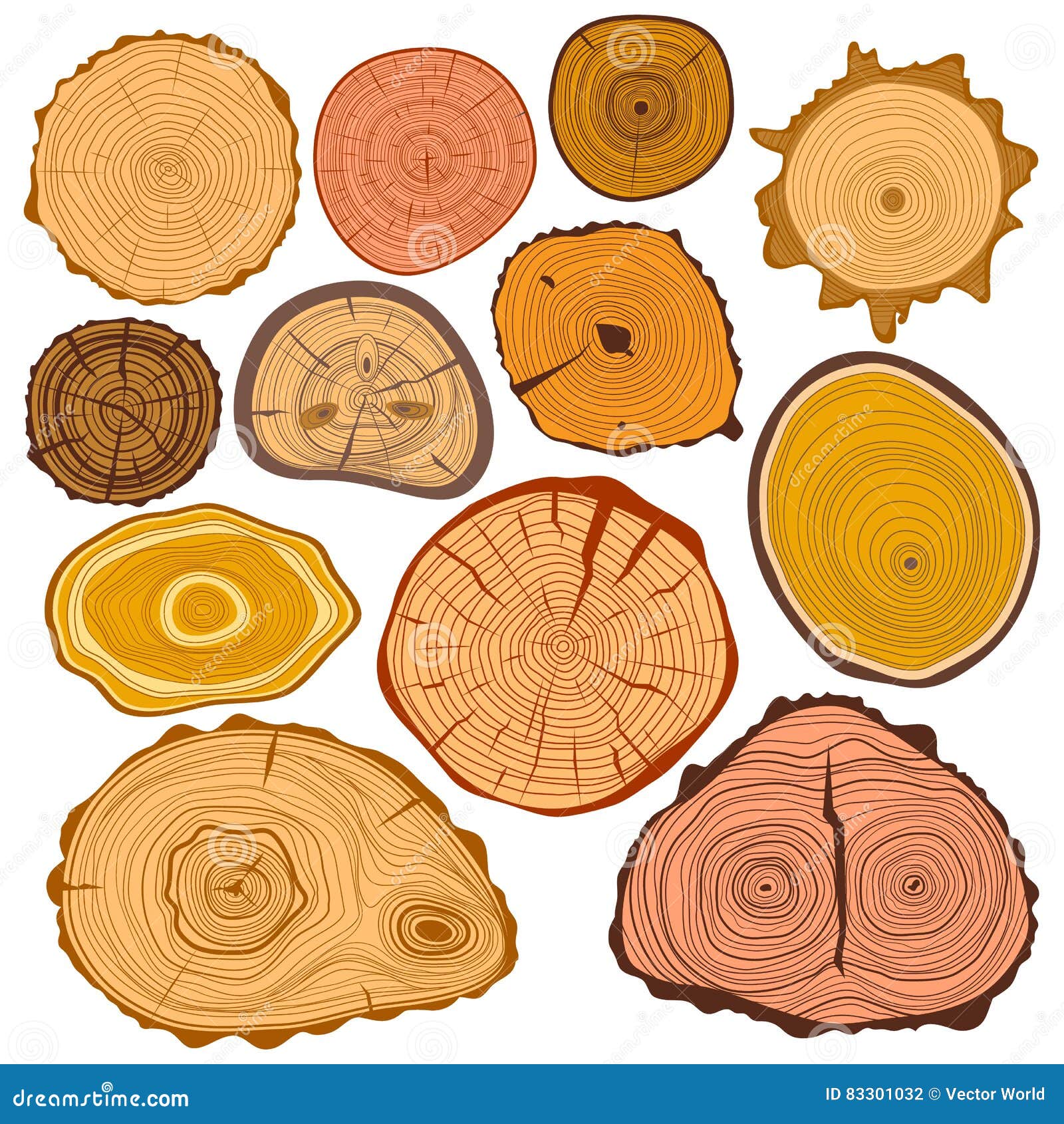 Tree Wood Slices Vector Set Stock Vector - Illustration of concentric ...