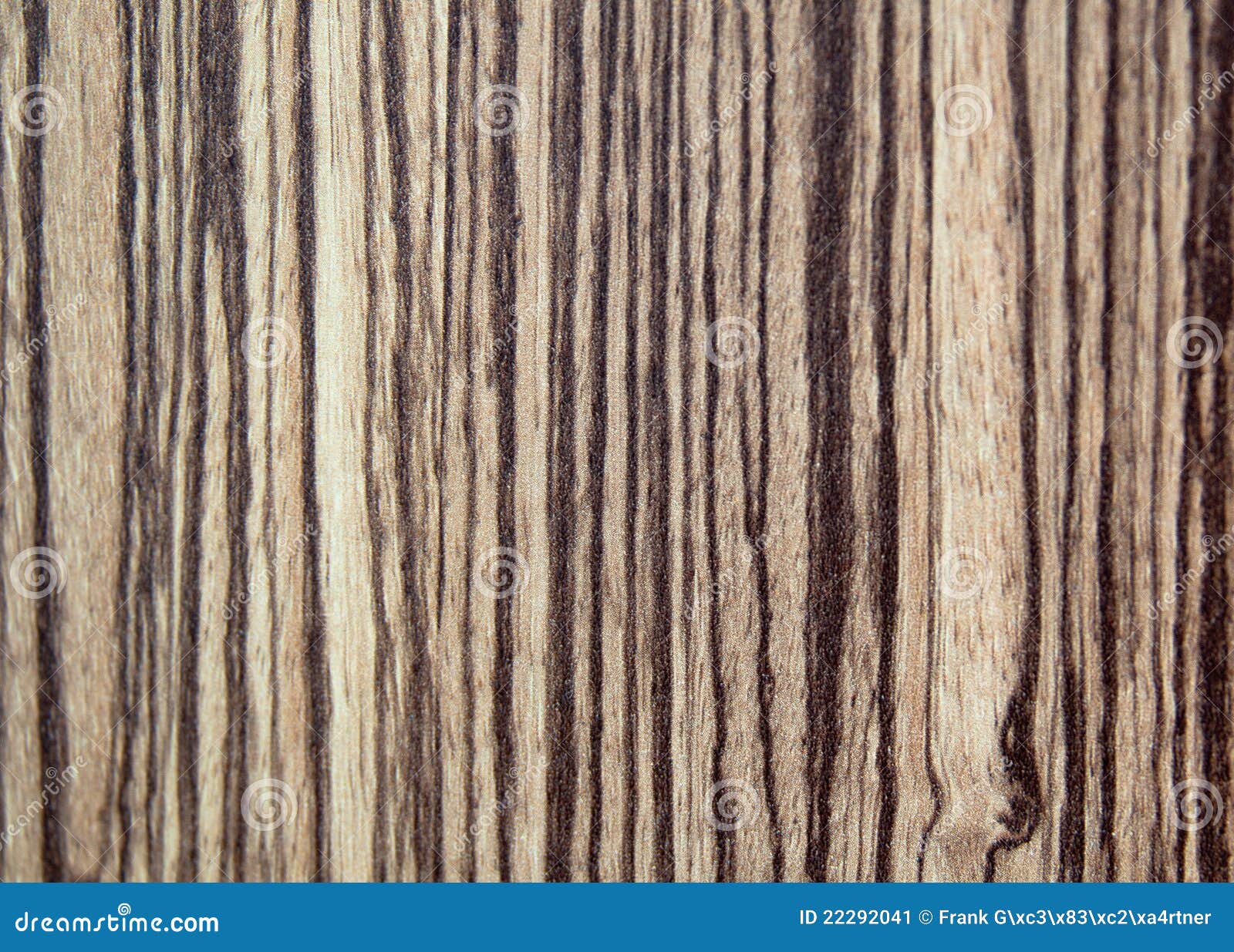 Tree Wood Textured Background Stock Image - Image of hardwood, detail ...