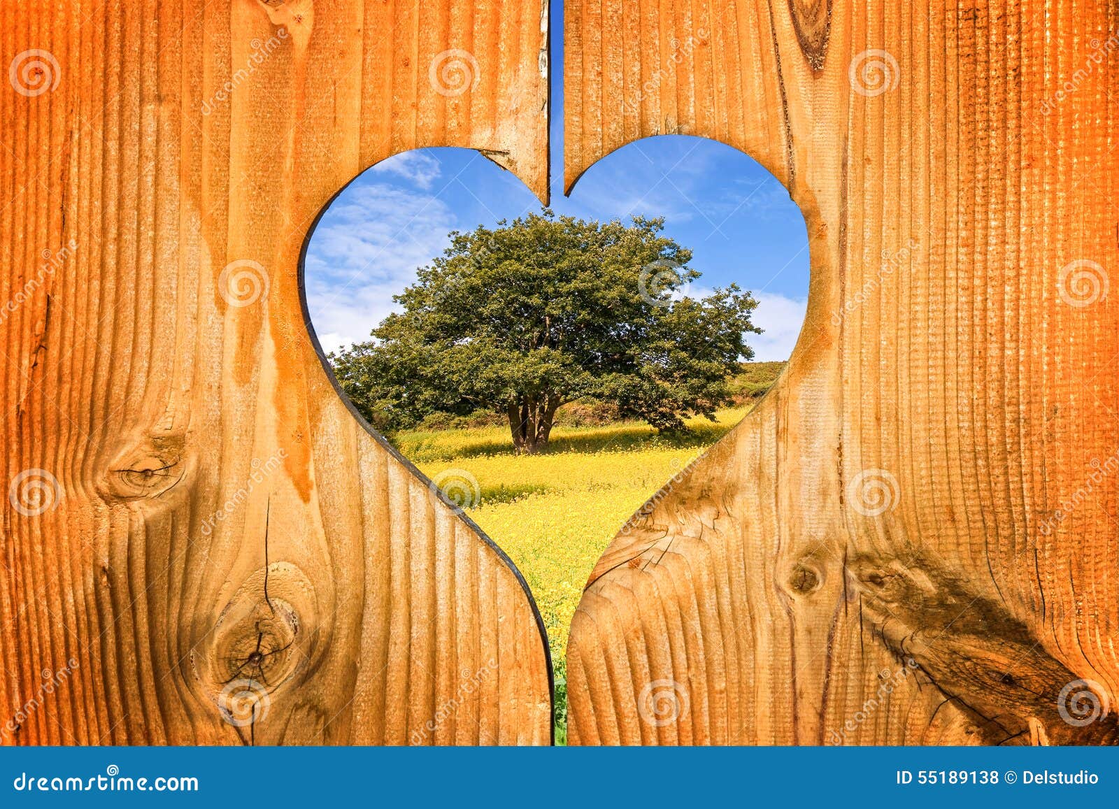 Tree in a wooden heart stock photo. Image of bloom, heart - 55189138