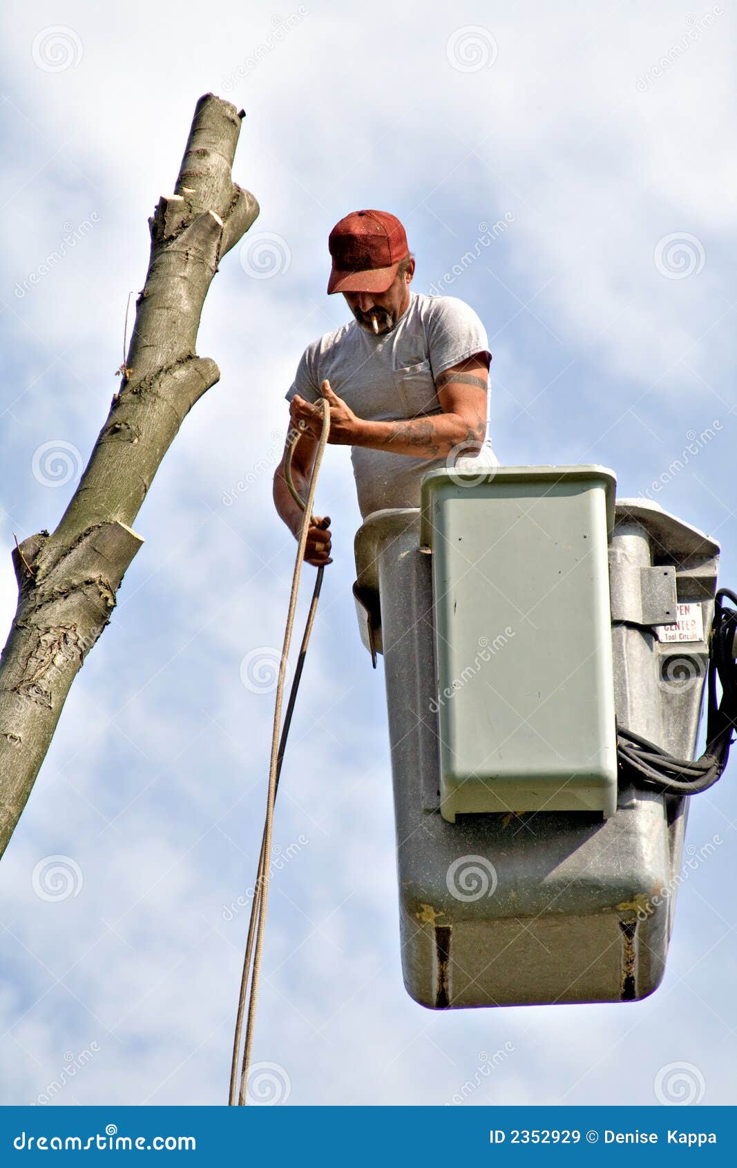 Tree work stock image. Image of occupation, truck, bucket - 2352929