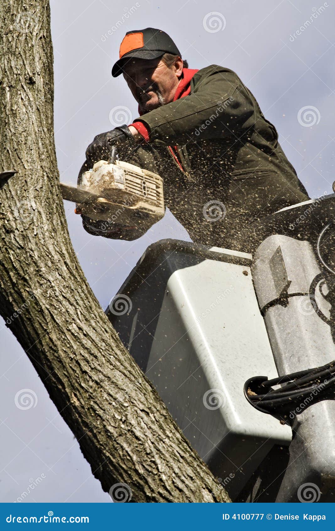 Tree Work stock image. Image of occupation, lumberjack - 4100777