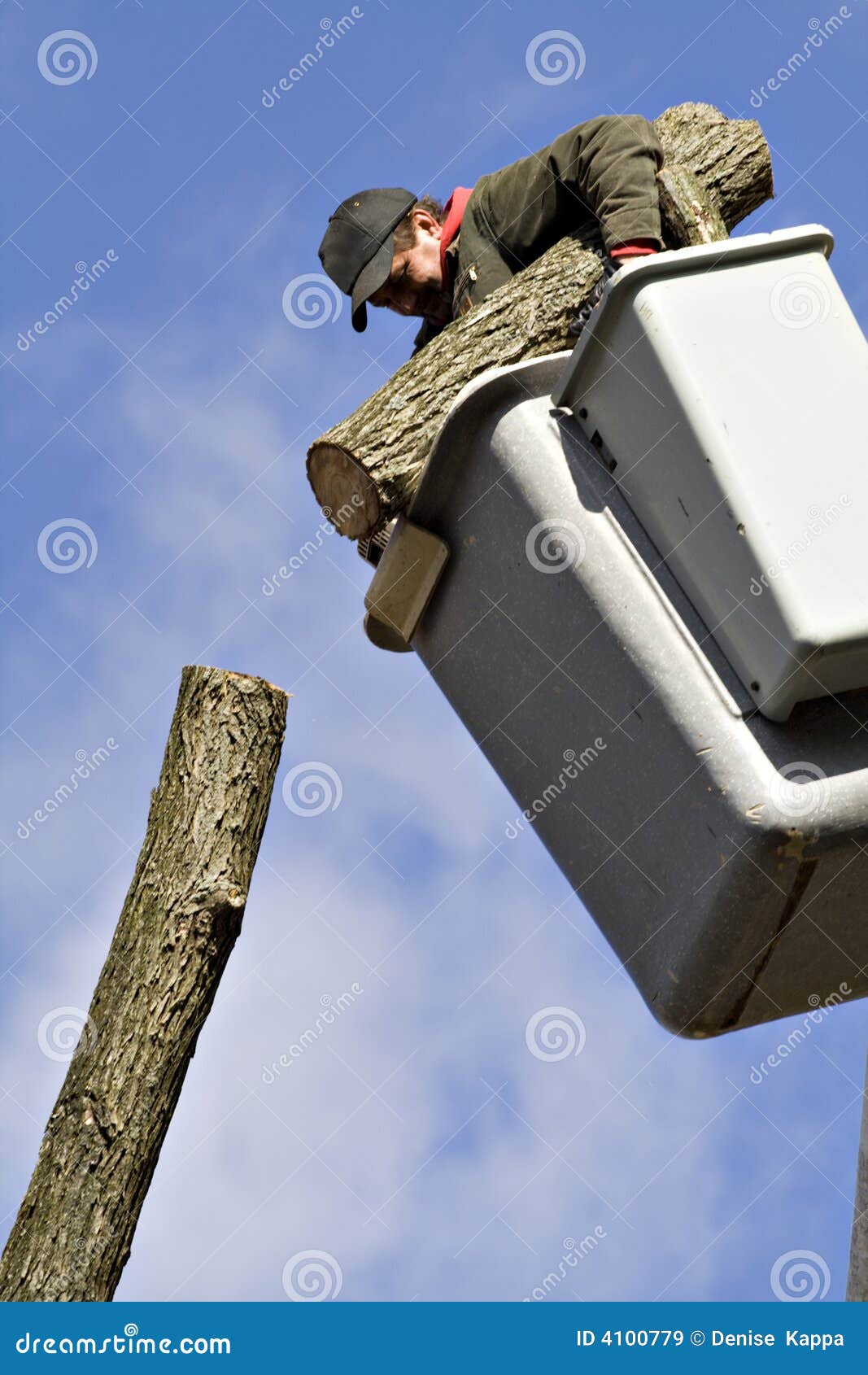 Tree Worker stock image. Image of remove, chainsaw, firewood - 4100779