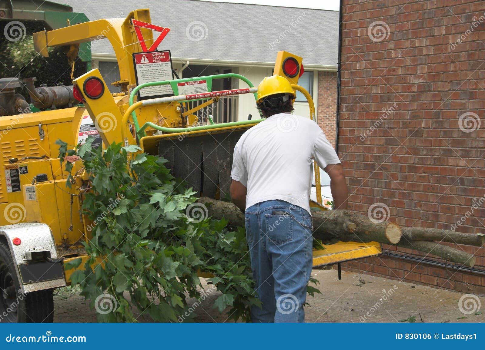 Tree Worker Feeding Chipper Stock Photo - Image of branch, chipping: 830106