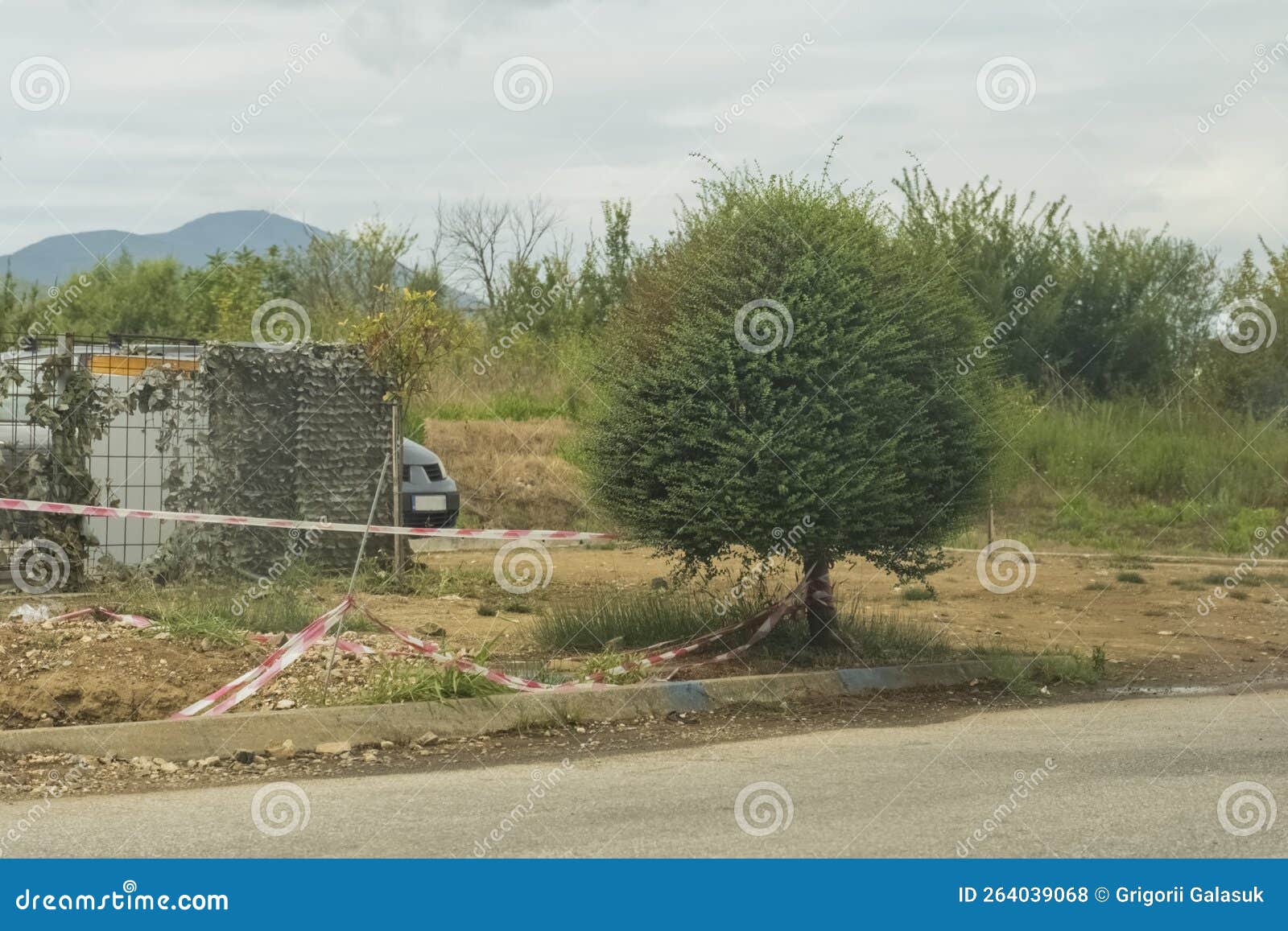 A Tree Wrapped in Red and White Tape Enclosing the Scene of an Accident ...