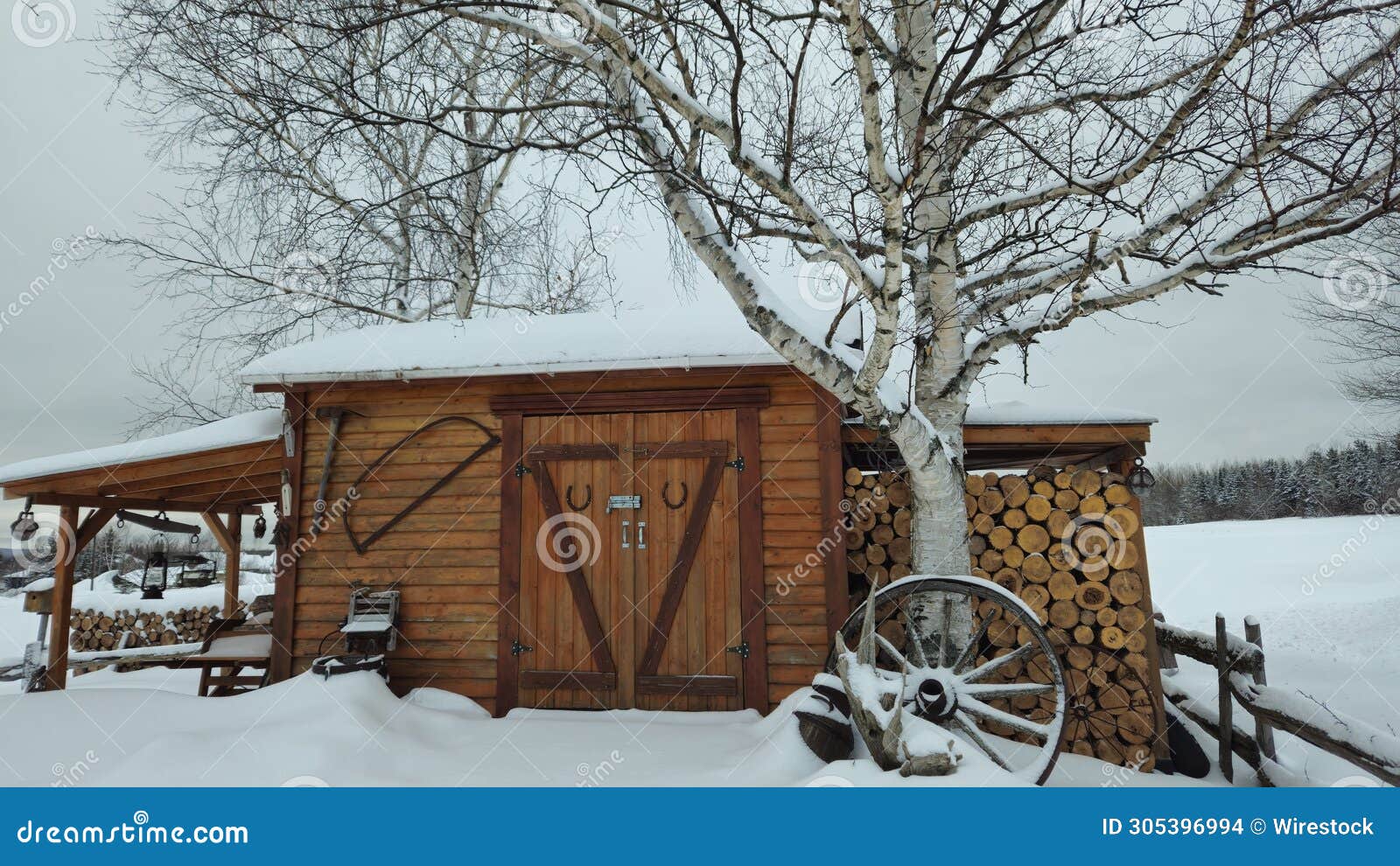 Tree in the Yard of a Wooden Barn with Stacked Logs Stock Photo - Image ...