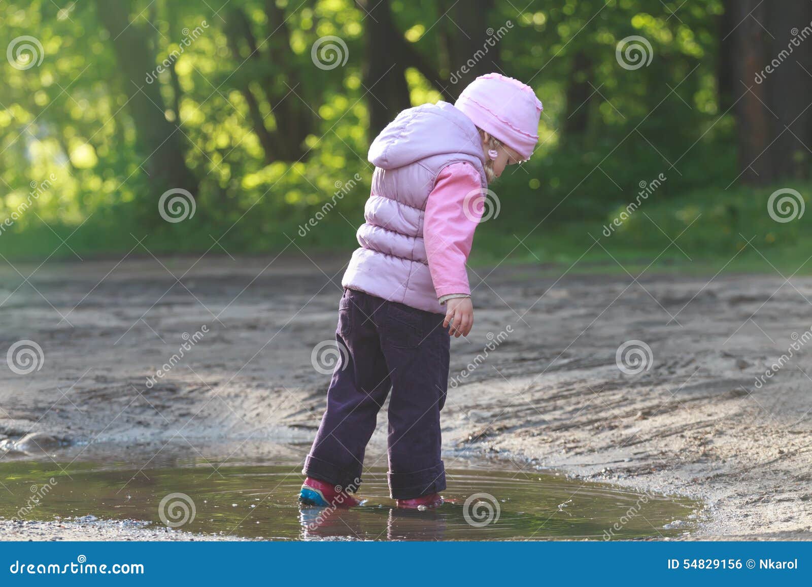 Tree Years Old Preschooler Girl Exploring Summer Puddle With Tree Twig ...