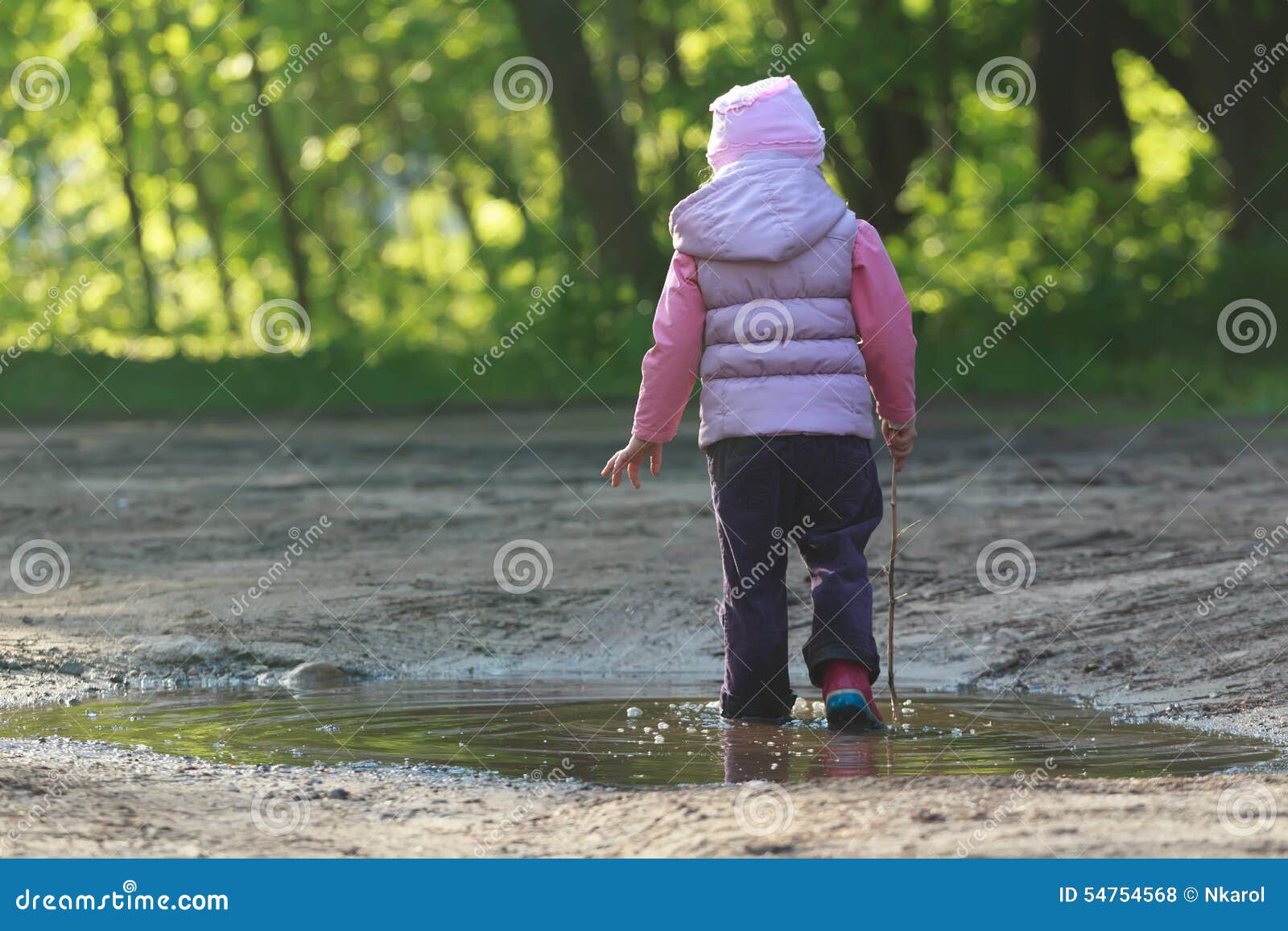 Tree Years Old Preschooler Girl Exploring Summer Puddle With Tree Twig ...