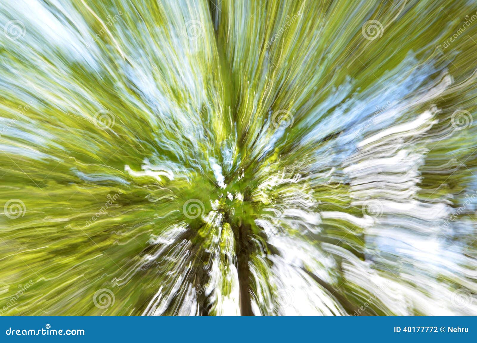 Tree zoom background stock photo. Image of abstract, electronic - 40177772
