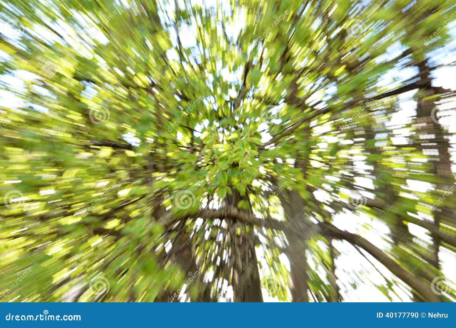 Tree Zoom Background Stock Photography | CartoonDealer.com #40177778