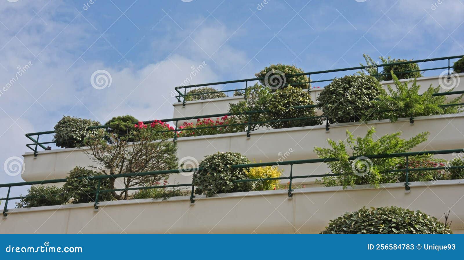 Vegetated Terraces of a Building Stock Image - Image of plant, urban ...