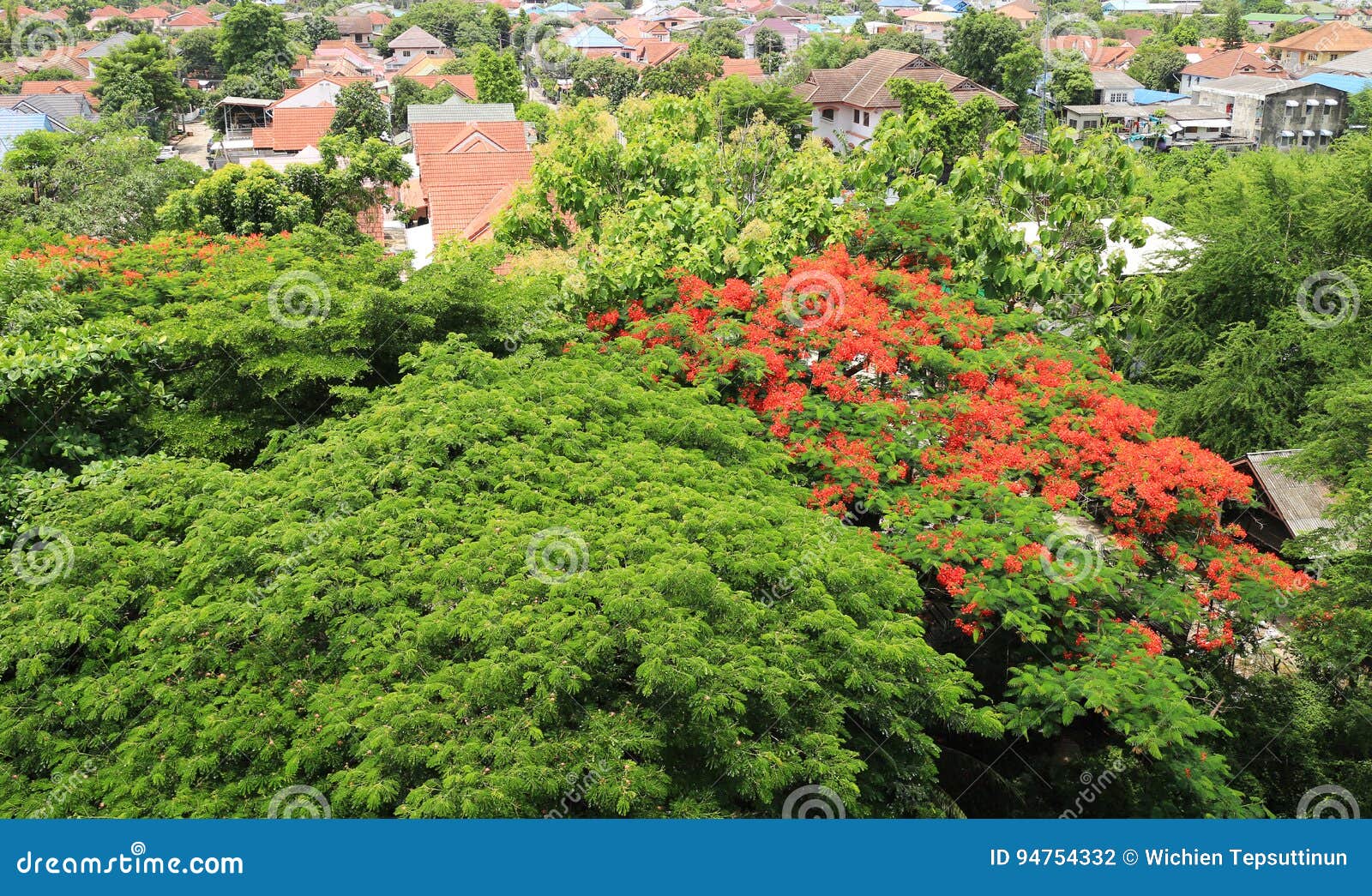 Treeful Village Stock Photos - Free & Royalty-Free Stock Photos from ...