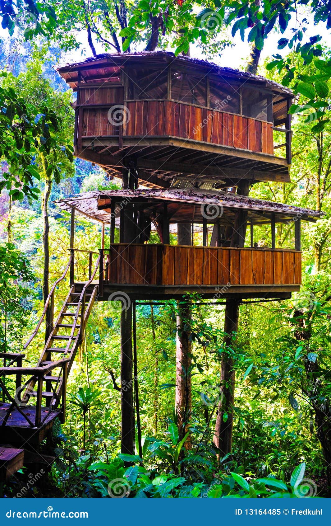 Treehouse stock image. Image of vacation, home, vacations - 13164485