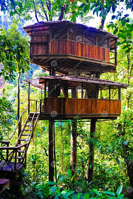 Treehouse stock image. Image of vacation, home, vacations - 13164485
