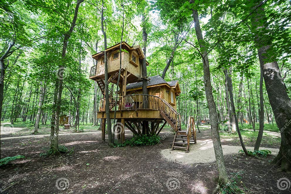 Treehouse in forrest stock photo. Image of shack, colourful - 41496006