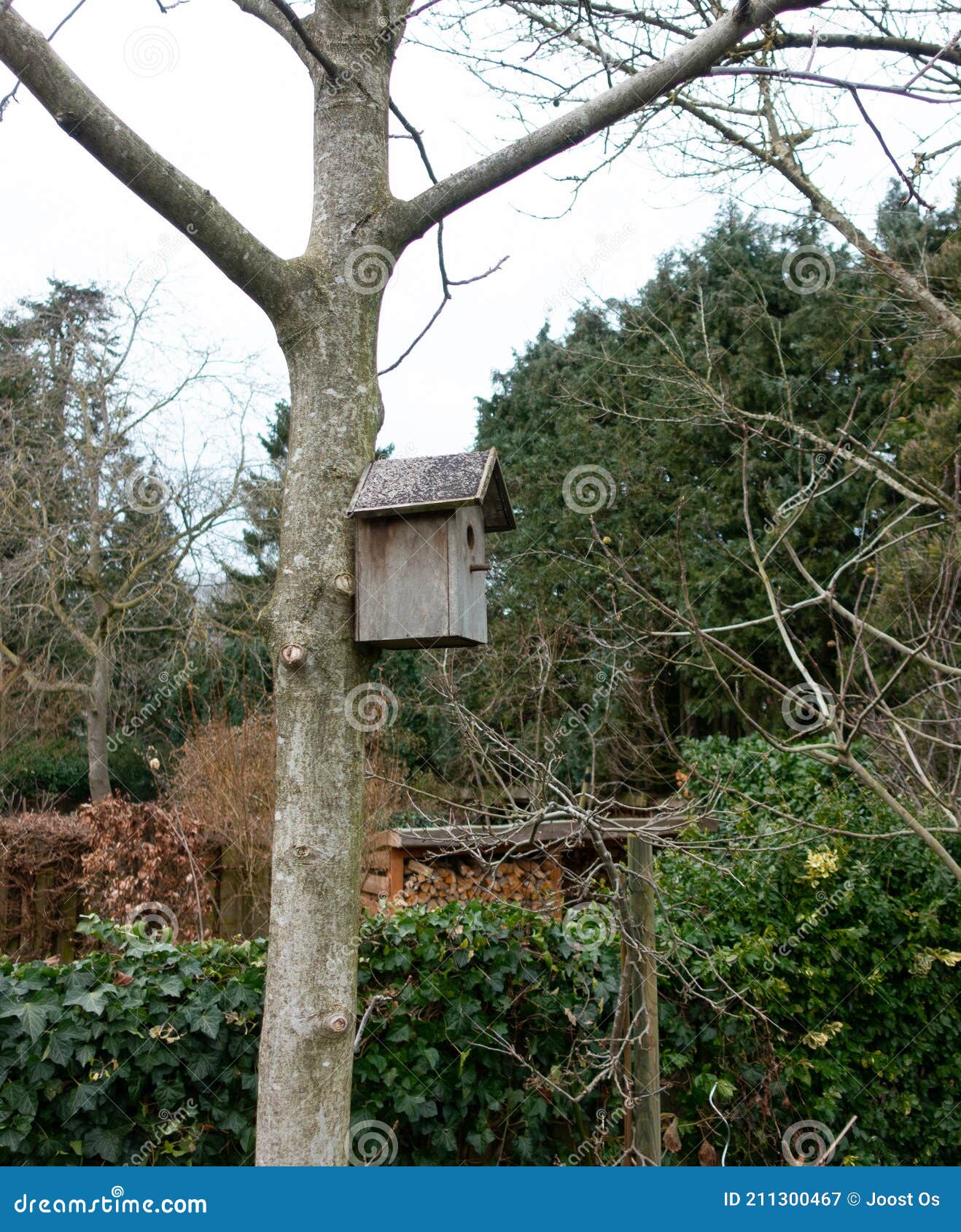 Treehouse in nature stock image. Image of house, shrub - 211300467