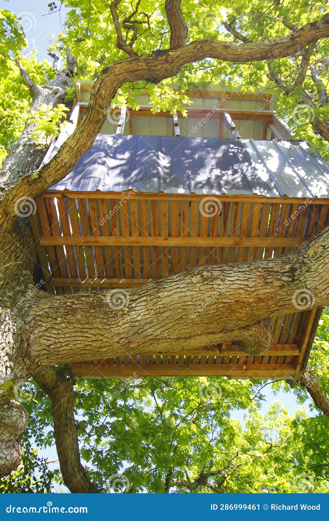 Treehouse High in a Tree in Summer Stock Image - Image of explore, home ...
