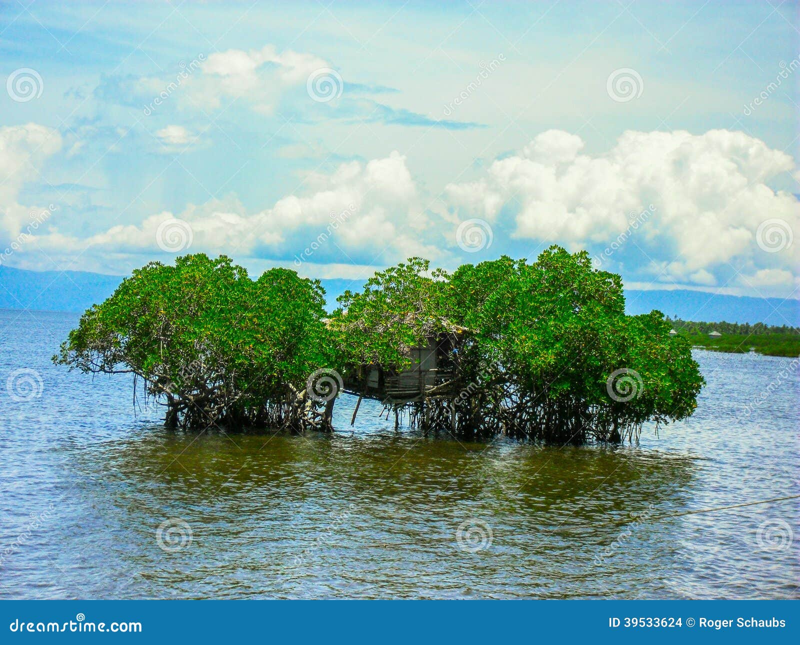 Treehouse in Mangrove Philippines Stock Photo - Image of outdoor ...