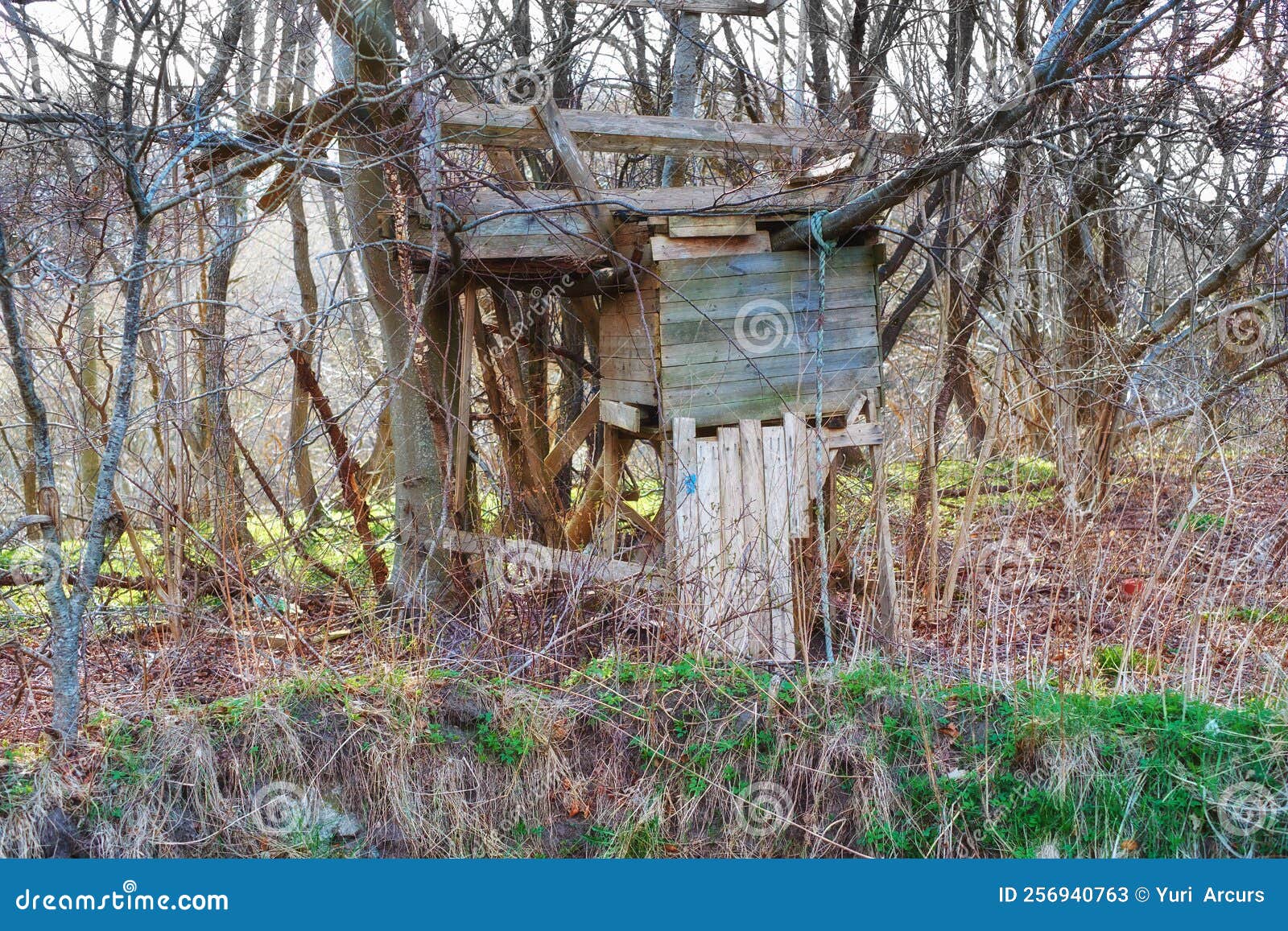 Treehouse in the Middle of Nowhere. an Old Tree House in a Forest ...
