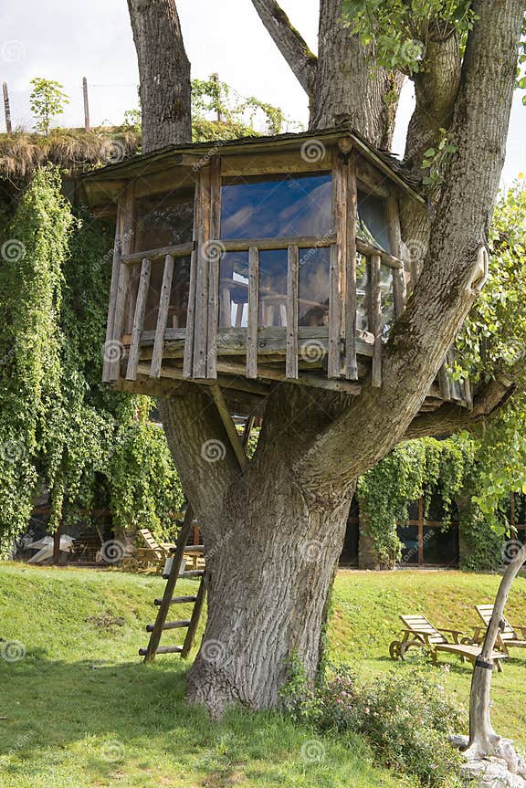 Treehouse stock image. Image of home, house, relax, hotel - 33103357