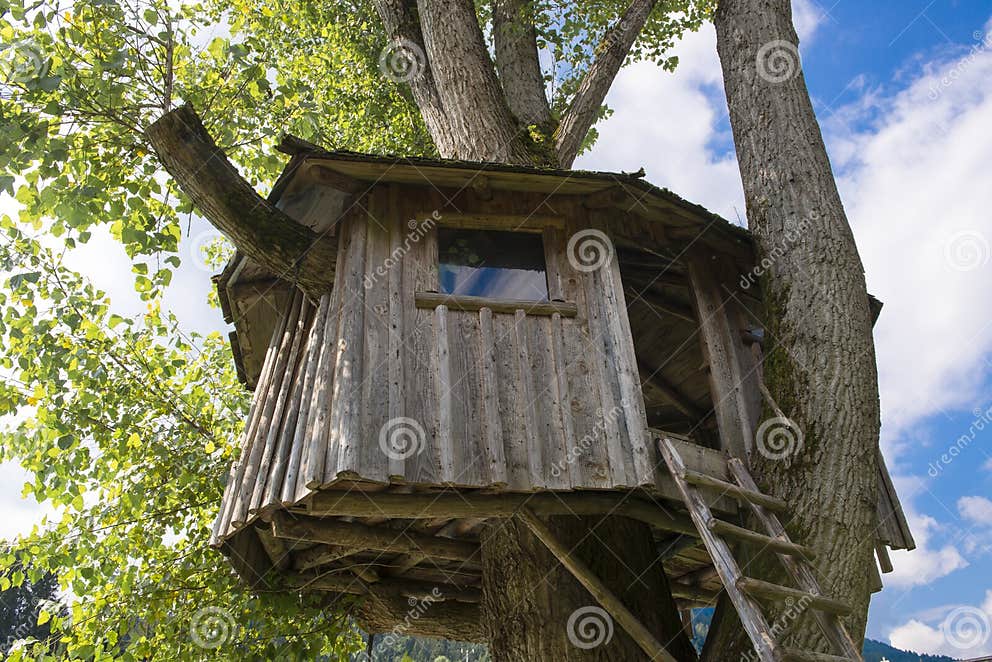 Treehouse stock image. Image of time, kids, europe, live - 33103841