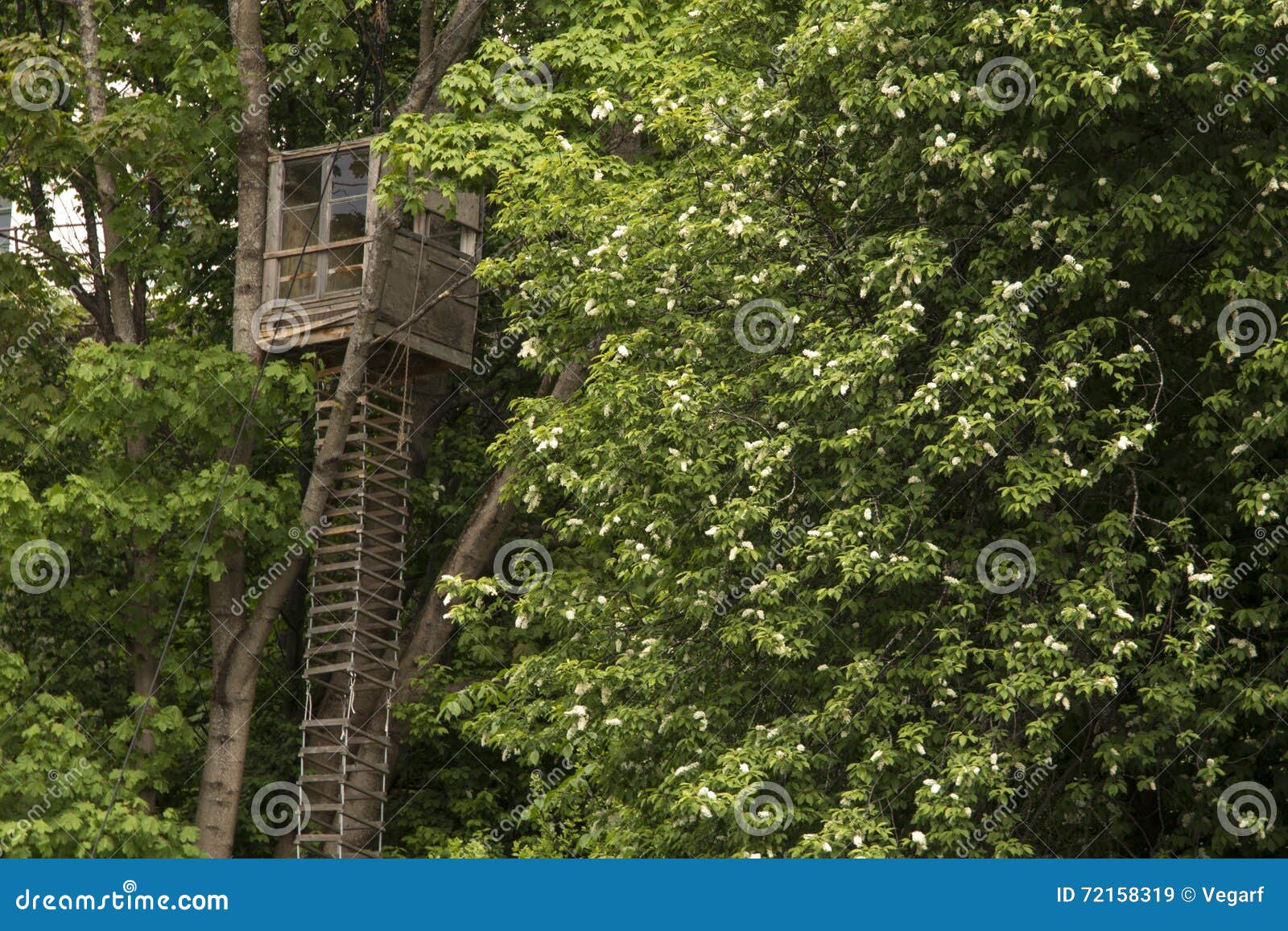 Treehouse stock image. Image of material, treehouse, building - 72158319