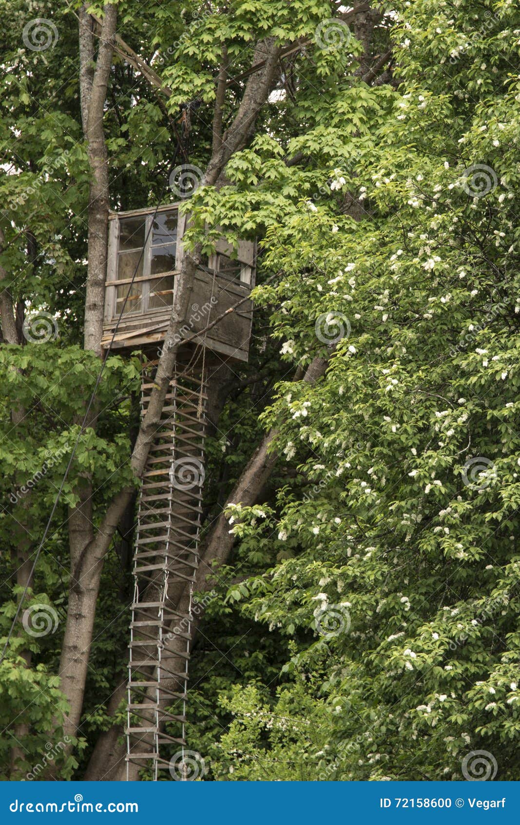 Treehouse stock photo. Image of tree, branch, green, building - 72158600