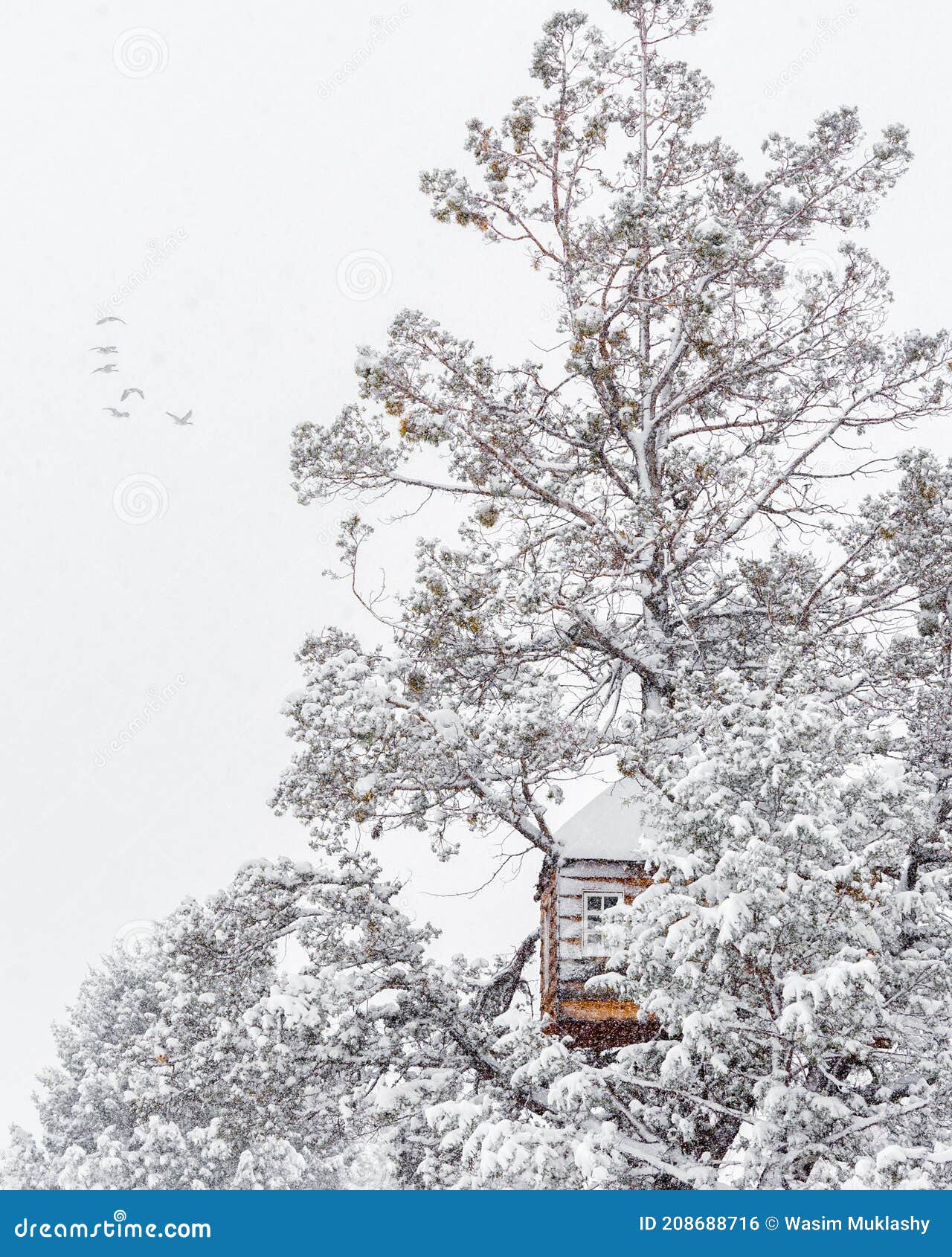 A Treehouse in Winter with Birds Flying by Stock Photo - Image of snow ...