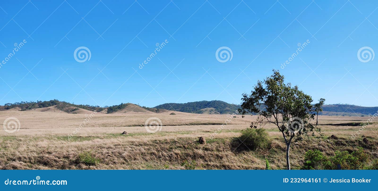 Treeless Farm stock image. Image of hill, grassland - 232964161