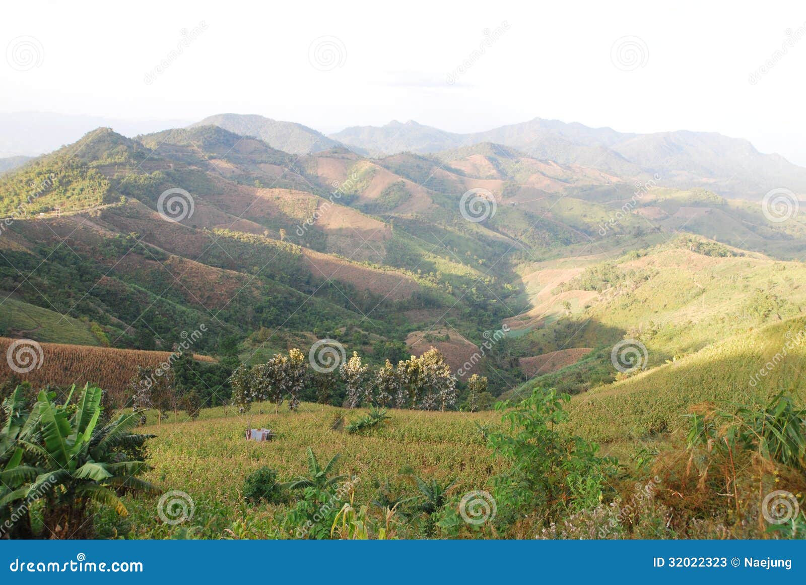 Treeless mountain stock image. Image of color, scenic - 32022323