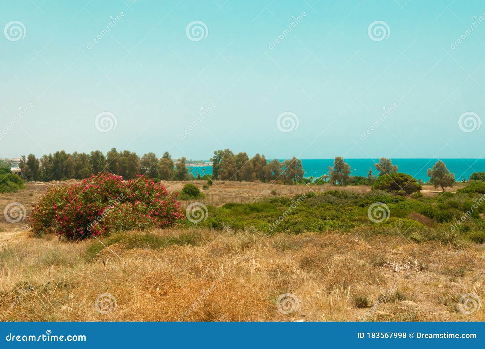 A Treeless Plain is a Piece of Land that is Being Sown or Cultivated ...