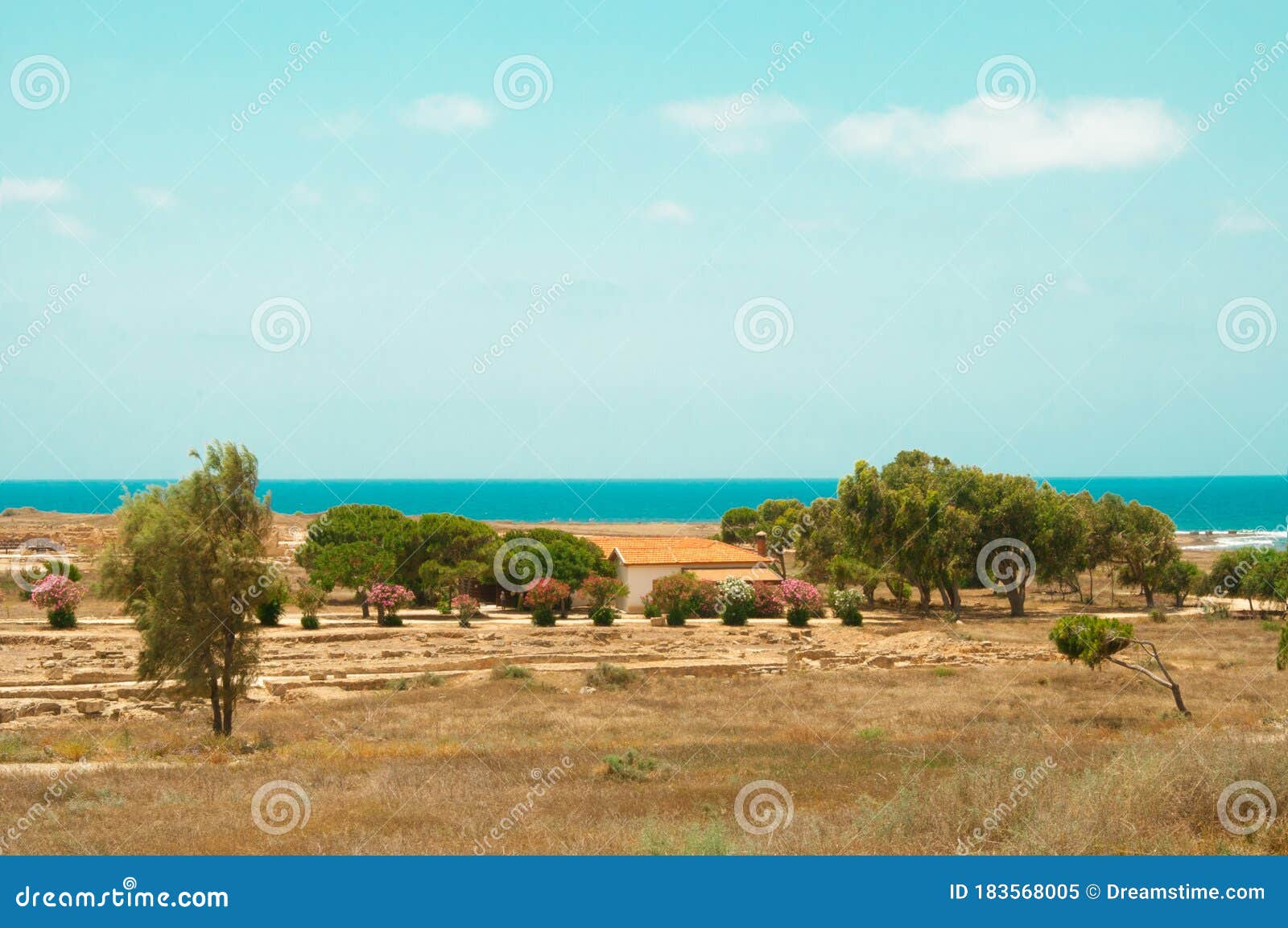 A Treeless Plain is a Piece of Land that is Being Sown or Cultivated ...