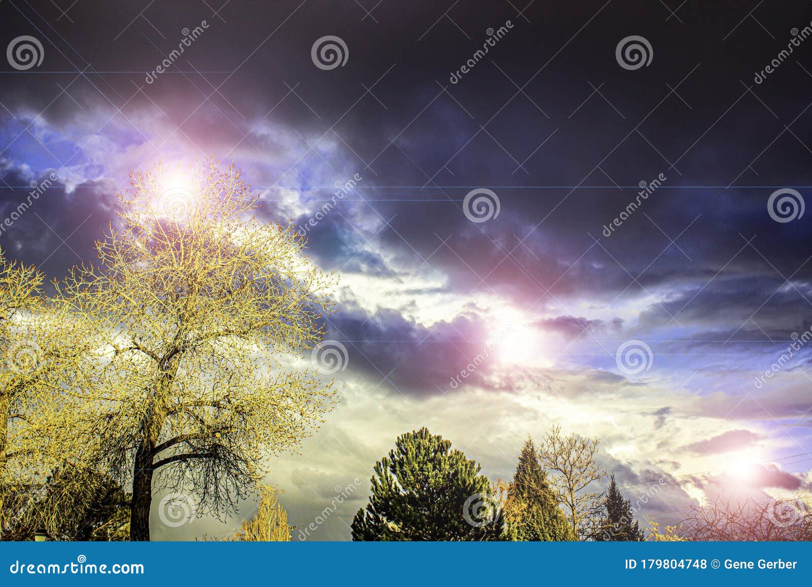 Treeline with Dark Sky stock photo. Image of treeline - 179804748