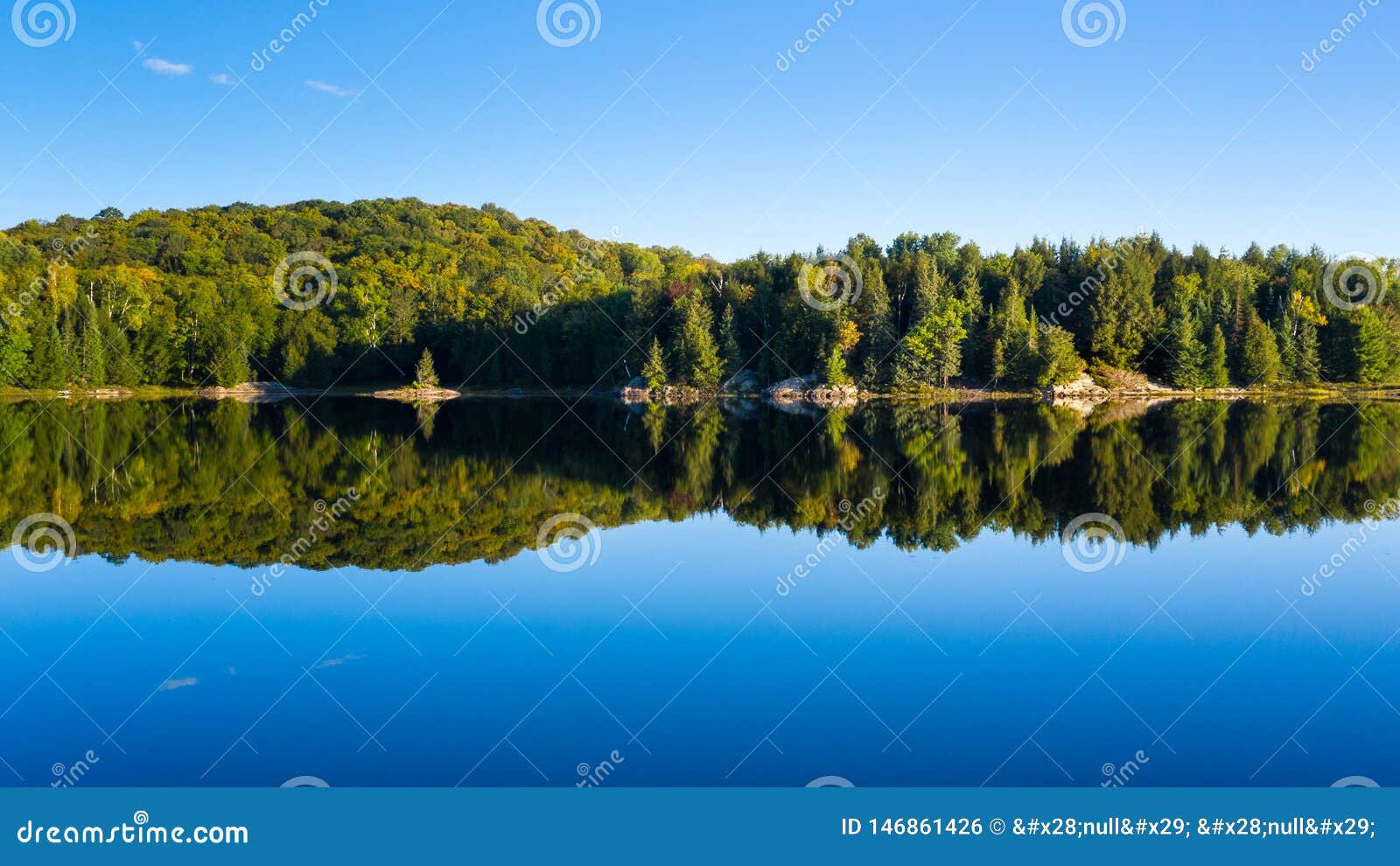 Vibrant Green Treeline and Reflection Stock Photo - Image of lake ...