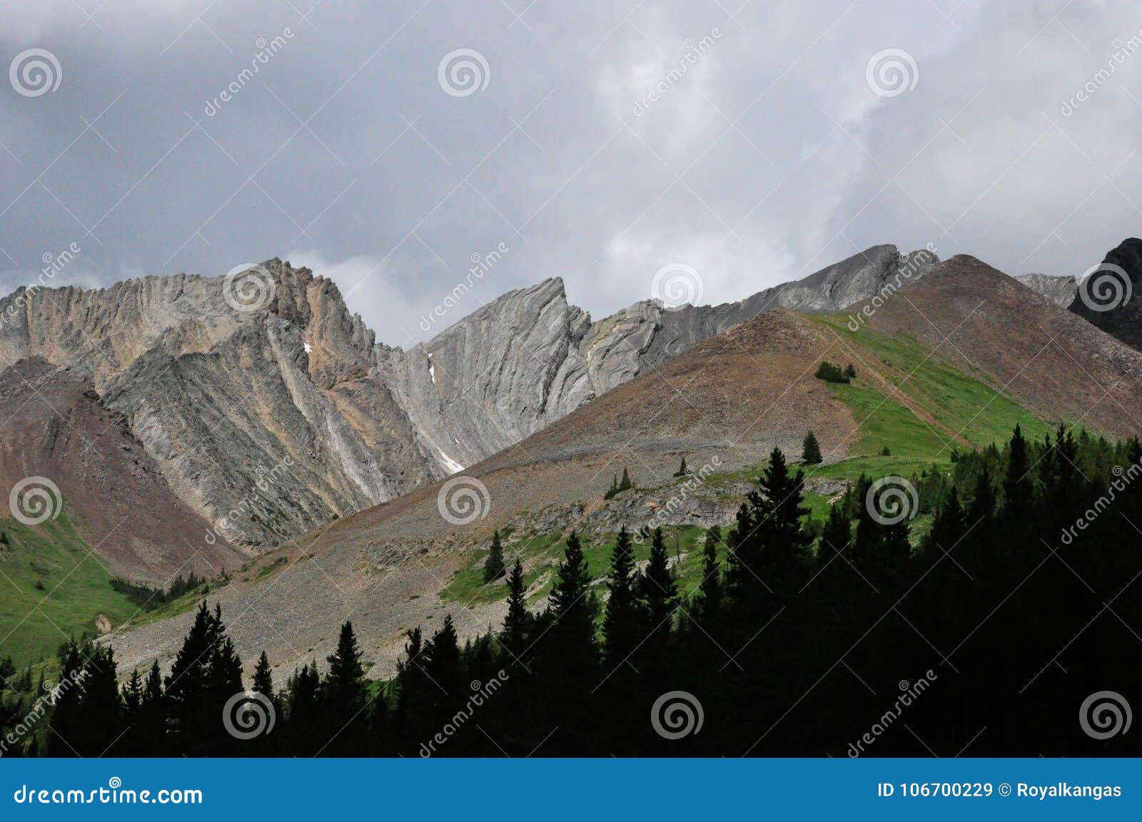 Treeline on a Mountainside stock image. Image of peak - 106700229